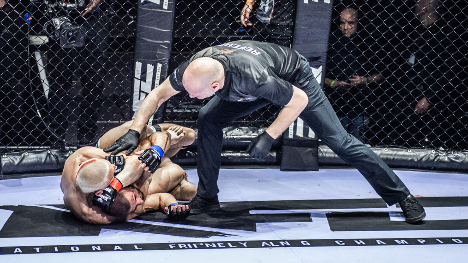 Privattraining bei MMA-Kämpfer MAX Holzer - maxholzermma.com